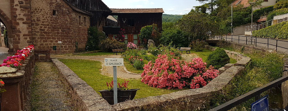 Obernai - G3 circuit Est | OpenRunner