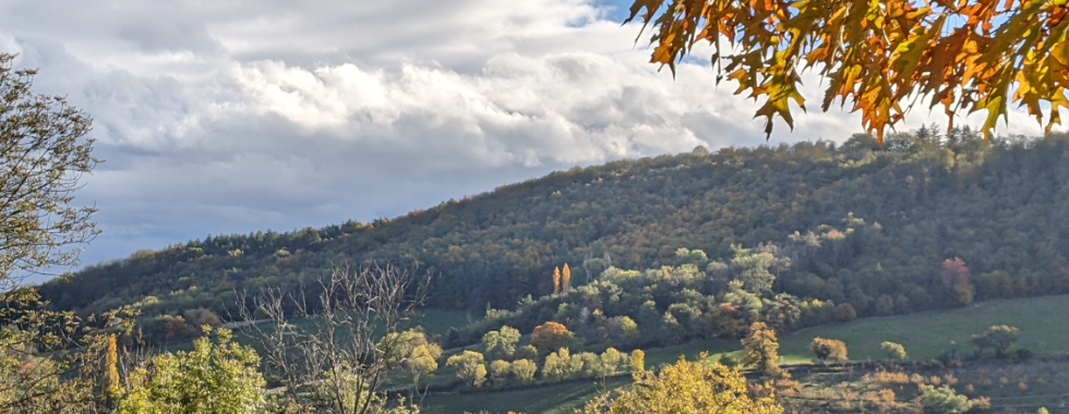 Vaugneray - La boucle du Val Noir, Vaugneray | OpenRunner